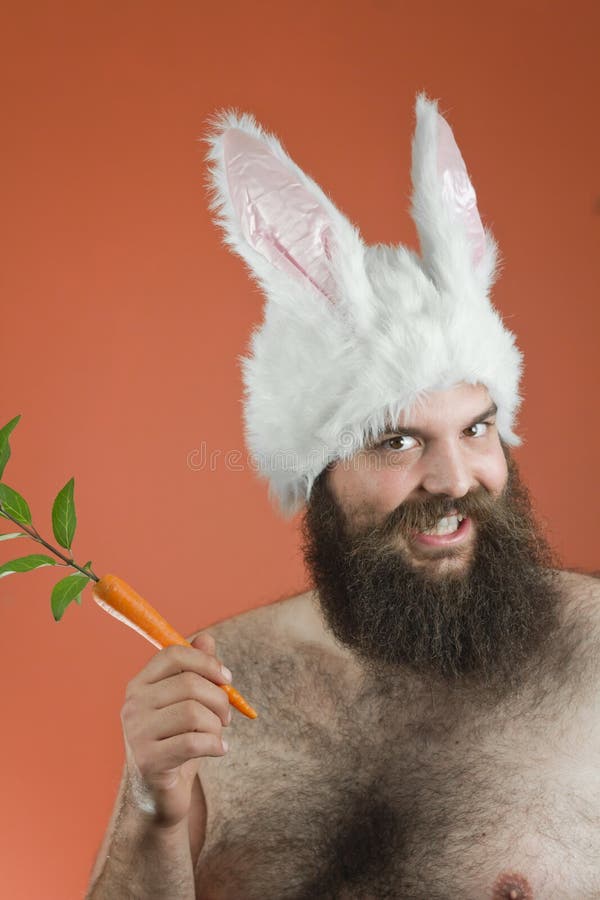 458 Fat Easter Bunny Stock Photos - Free & Royalty-Free Stock Photos ...