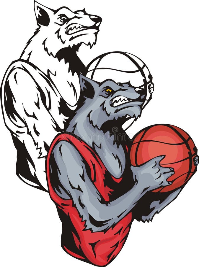 Grinning Grey Wolf with a Basketball Ball Stock Vector - Illustration ...