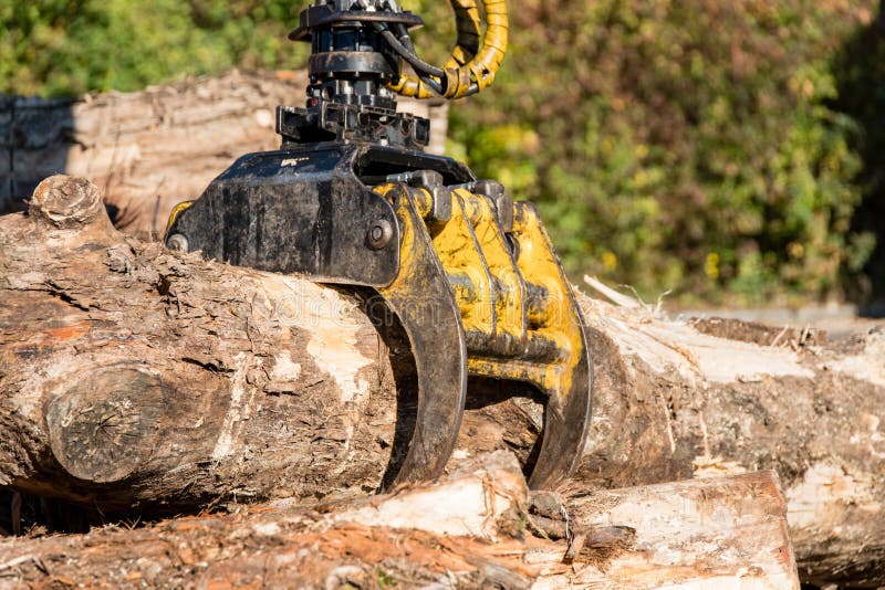 Gripper of a crane stock photo. Image of lumber, claw - 104643488