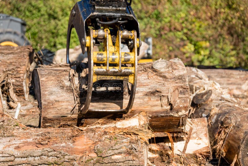 Gripper of a crane stock image. Image of lumber, pile - 104643797