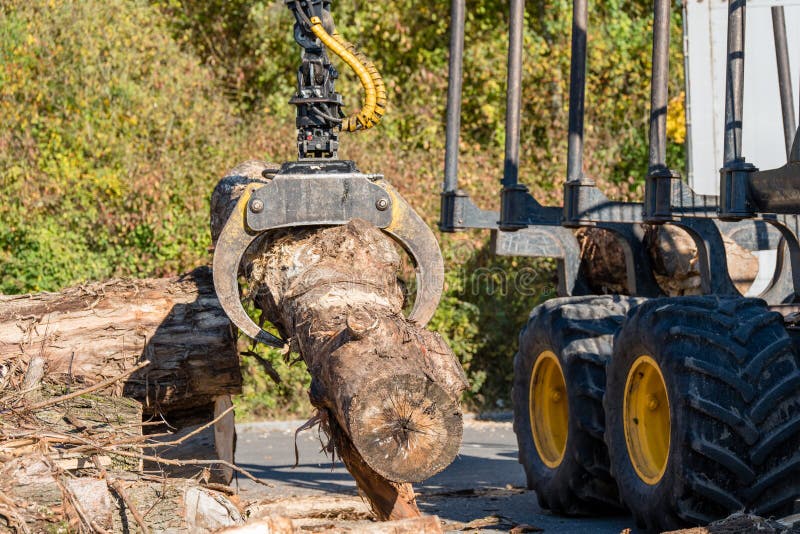 Gripper of a crane stock photo. Image of industry, timber - 104643892