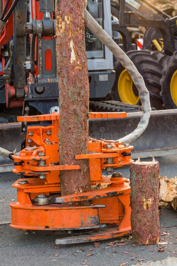 Gripper for wood stock photo. Image of timber, machinery - 80522180