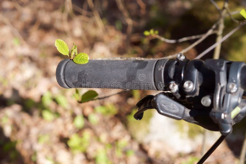 The Grips Bike Handlebar, Young Spring Leaves in the Forest Editorial ...