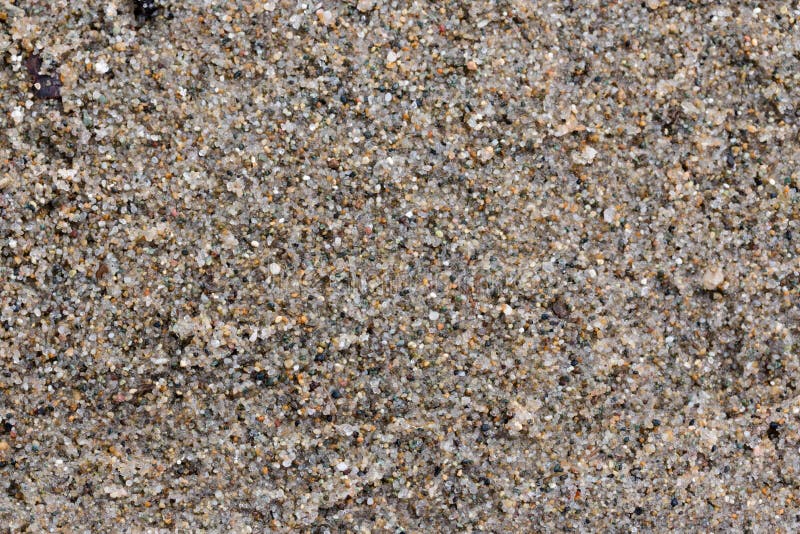 Grit stock photo. Image of small, nature, beach, consists - 57342772
