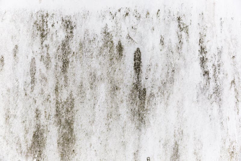 Gritty Grime Wall Texture on Whitte Surface Stock Image - Image of ...