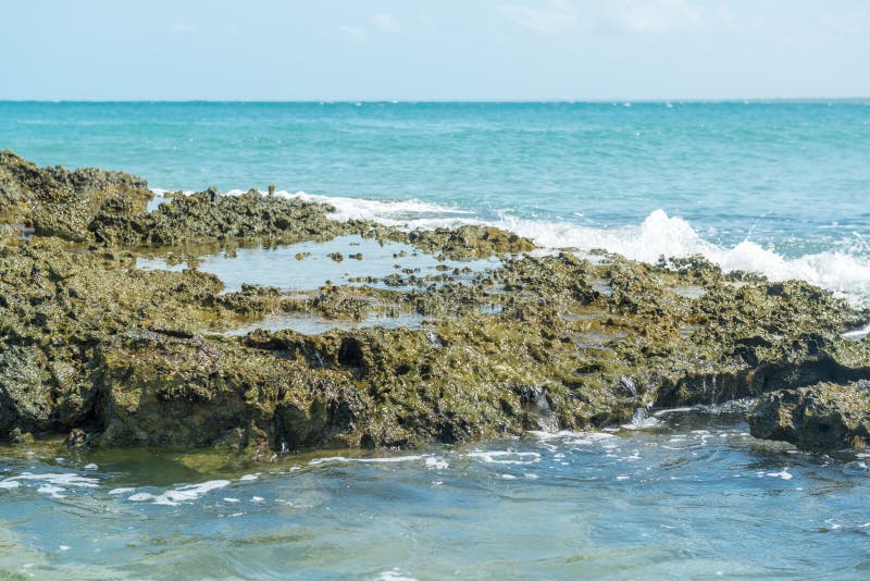 Gritty Rocks by the Shoreline with Small Pools Stock Photo - Image of ...