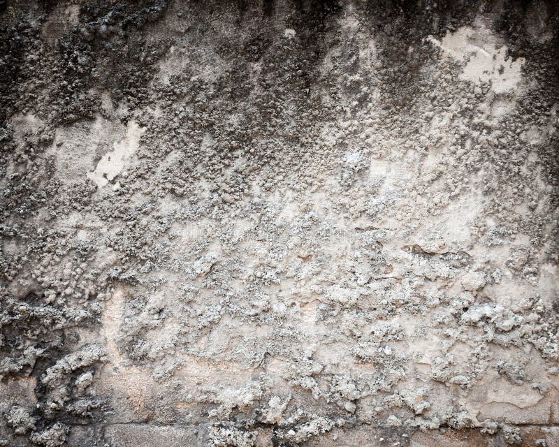 Gritty Textured Wall stock photo. Image of stucco, blank - 56091738