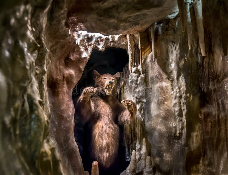 462 Cave Beast Stock Photos - Free & Royalty-Free Stock Photos from ...