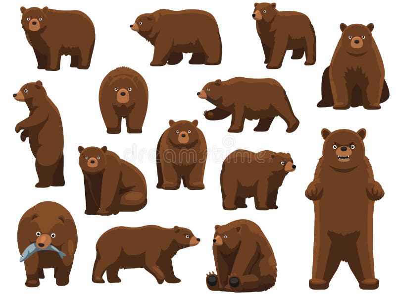 Grizzly Bear Standing Various Poses Cute Cartoon Vector Character Stock ...