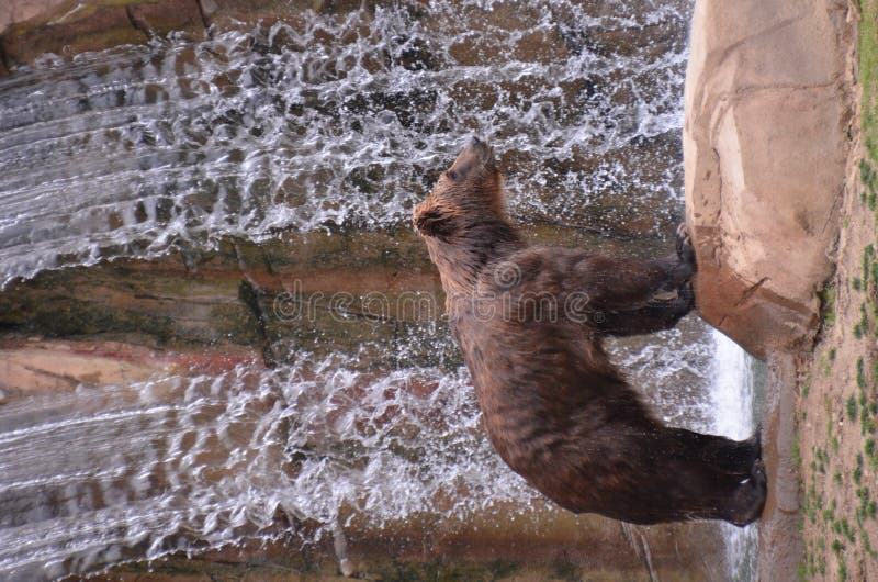 Bear Waterfall at 2000 Meters Above Sea Level Stock Photo - Image of ...