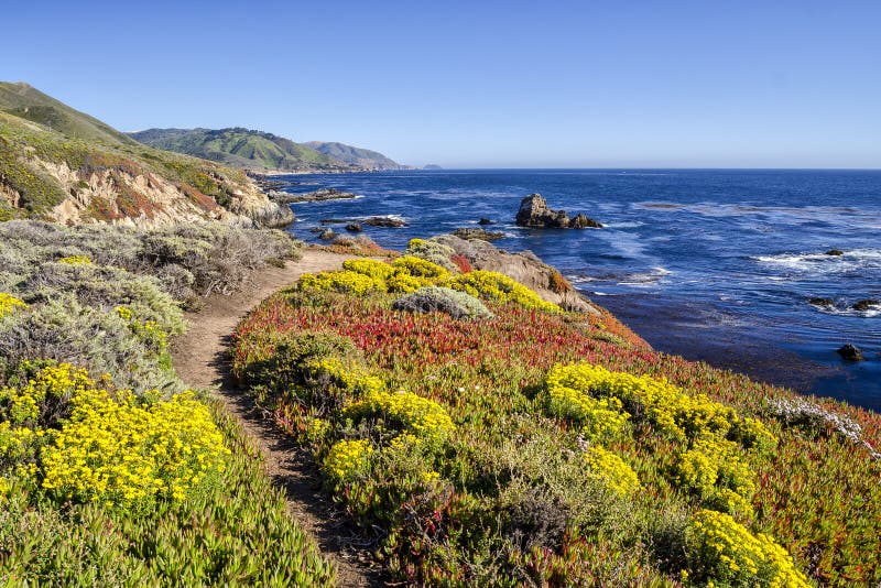 Big Sur stockbild. Bild von gelände, welle, wasser, meer - 13545095