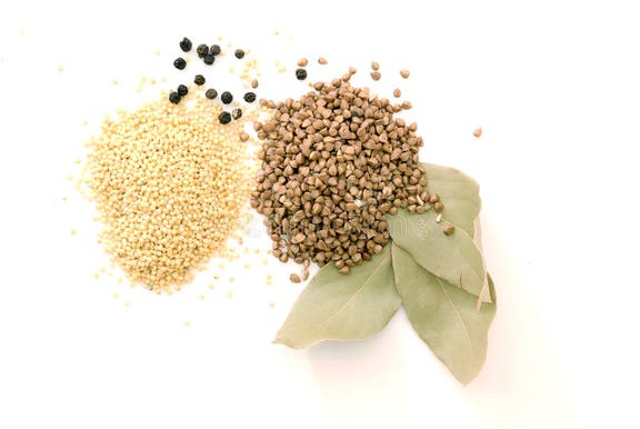 Groats stock image. Image of green, crop, grain, corn - 13479493