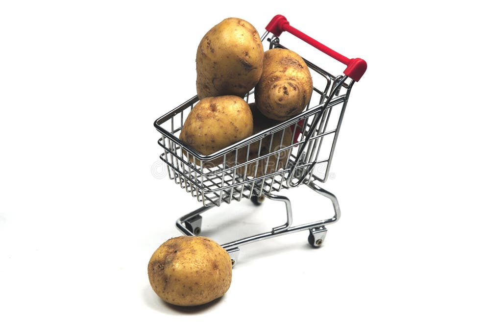 Daily groceries stock image. Image of food, shopping - 12922869