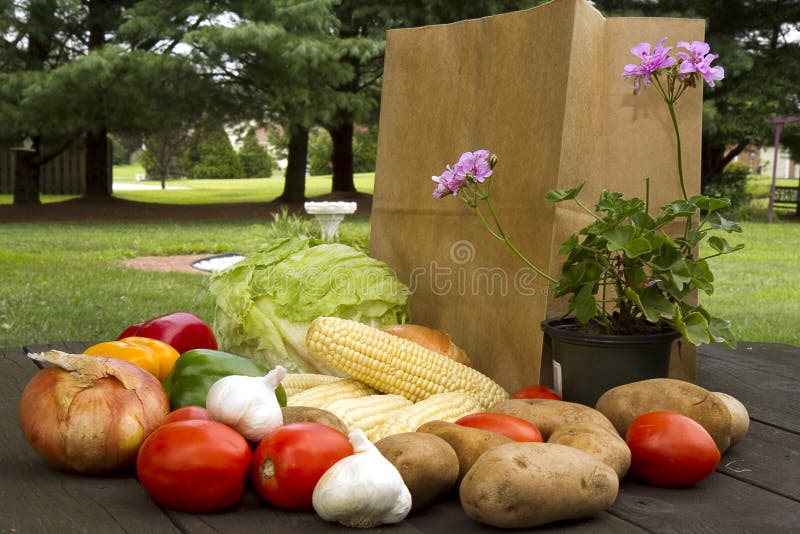Grocery Bag & Vegetables Stock Photo - Image of paper, table: 32697804