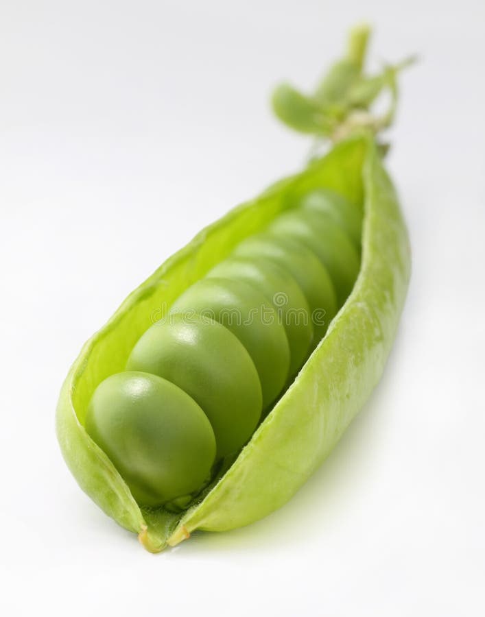Groch obraz stock. Obraz złożonej z vite, warzywo, natura - 23909667