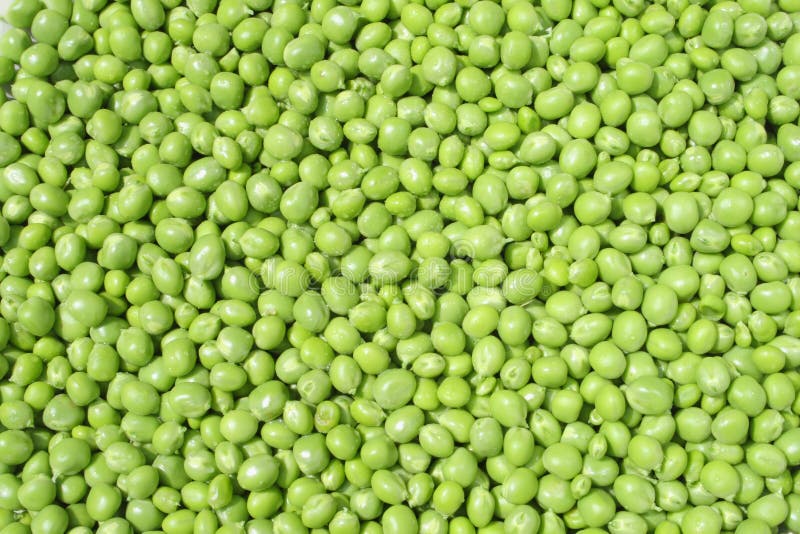 Grochy zdjęcie stock. Obraz złożonej z rozłam, deckchair - 19908782