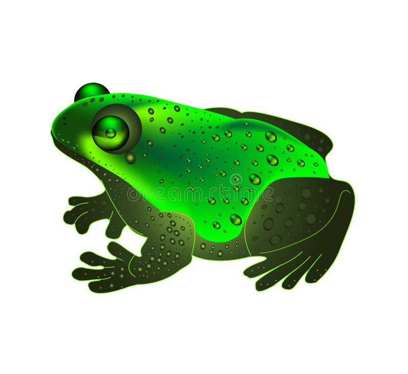 Prickig groda vektor illustrationer. Illustration av teckning - 1410191