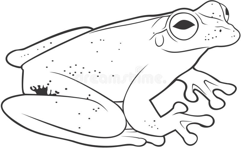 Groda vektor illustrationer. Illustration av groda, stilsort - 1410267