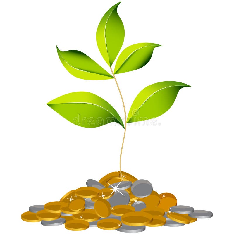 Groeiende Rijkdominstallatie Vector Illustratie - Illustration of ...