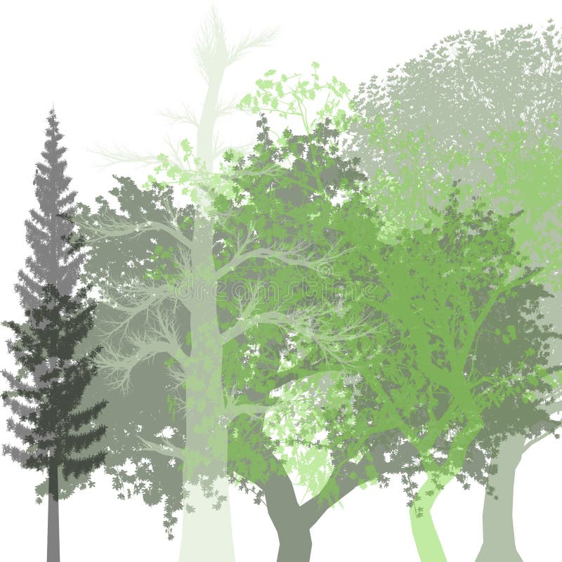 Groen Beeld Voor Gelukwensen Stock Illustratie - Illustration of ...