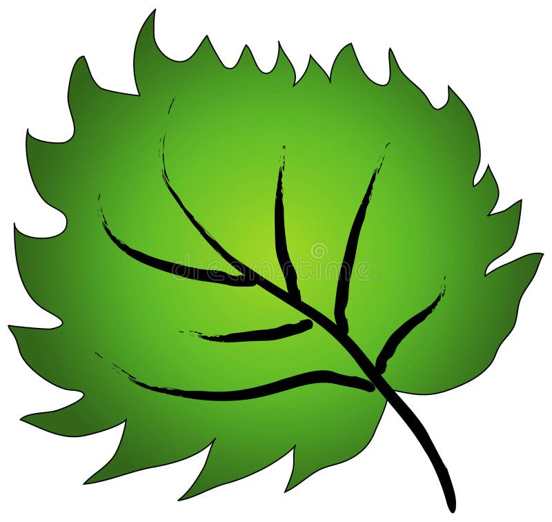 Groen blad vector illustratie. Illustratie bestaande uit petiole - 10564824