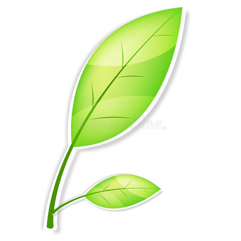 Groen blad vector illustratie. Illustration of kromme - 16089621