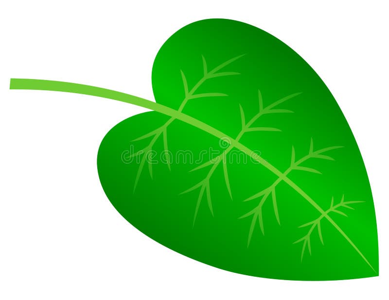 Groen Blad vector illustratie. Illustration of leven, groen - 8497559