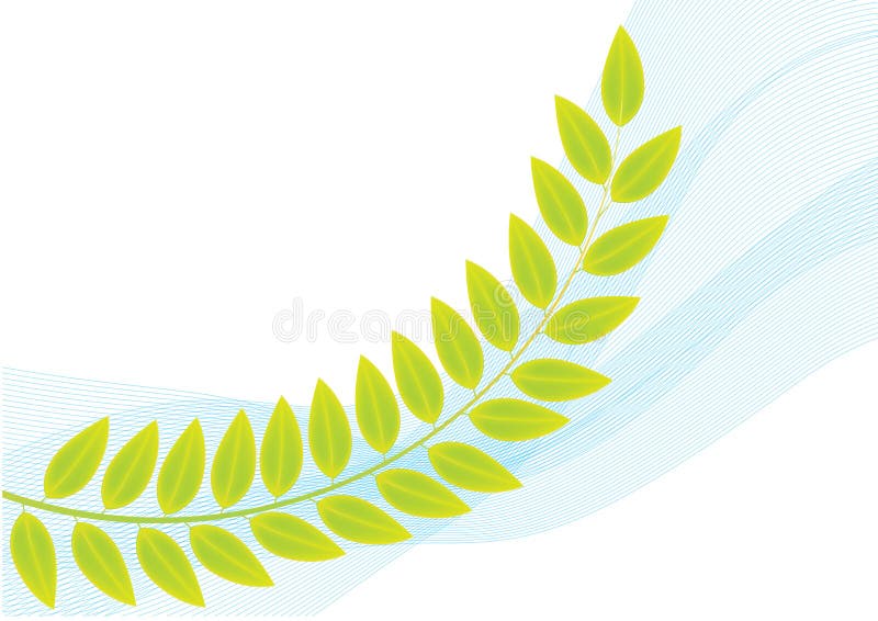 Groen blad - vector vector illustratie. Illustration of groen - 6790703
