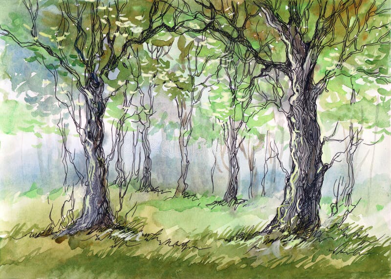 Groen Bos Stock Illustrations, Vectors, & Clipart – (411,295 Stock ...