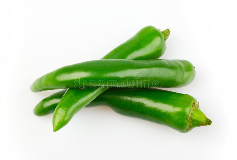 Rode En Groene Spaanse Peper of Capsicum Frutescens Installaties Stock ...