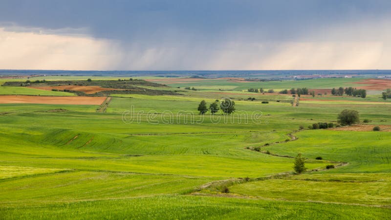 Groen En Vlak Landschap Met Onweer Stock Foto - Image of lente ...