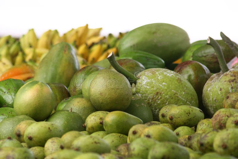 Groen fruit in Seychellen stock afbeelding. Image of kokosnoot - 14204145