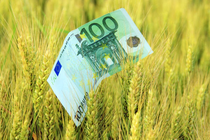 Groen geld stock afbeelding. Image of landbouw, gouden - 25447141