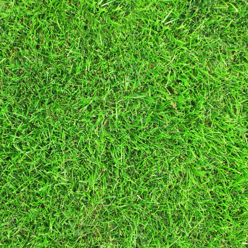 Groen gras stock afbeelding. Image of groen, uitgelijnd - 10638089