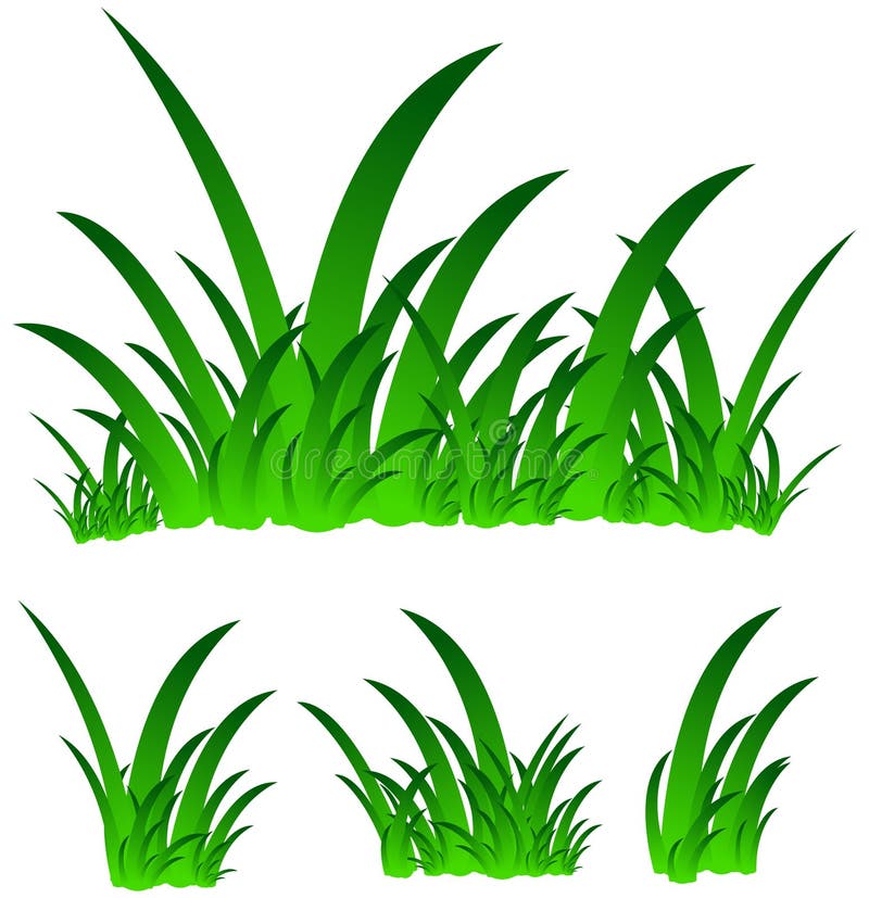 Groen gras vector illustratie. Illustration of geïsoleerd - 18666674