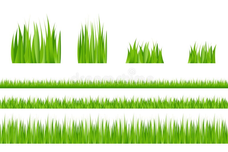 Groen Gras. Vector vector illustratie. Illustration of zaailing - 13723763