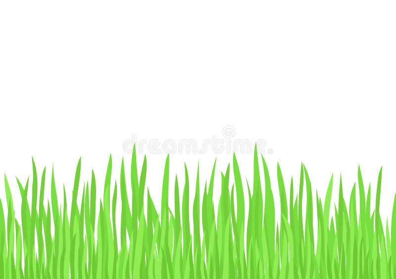Groen Gras (vector) vector illustratie. Illustration of kleurrijk - 1896410