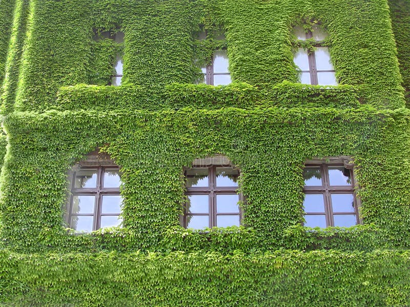 Groen huis stock afbeelding. Image of polen, flora, nave - 3600953