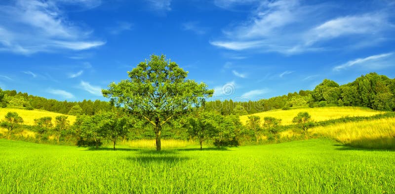 Groen landschap stock afbeelding. Image of seizoen, blauw - 10467275