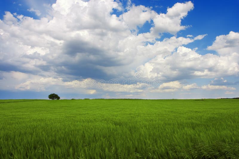 Groen en blauw landschap stock foto. Image of bloei, panoramisch - 5029980