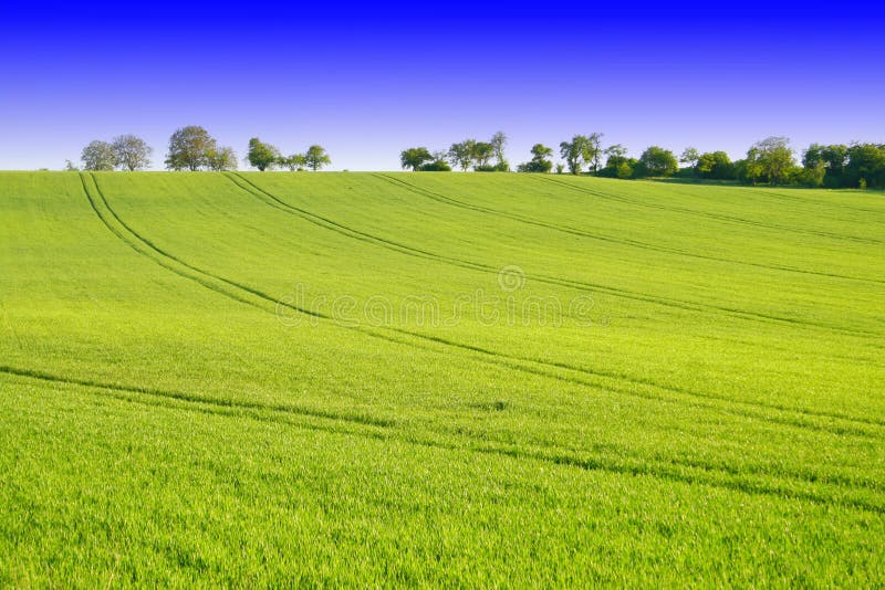 Groen landschap stock afbeelding. Image of lood, toneel - 9235087