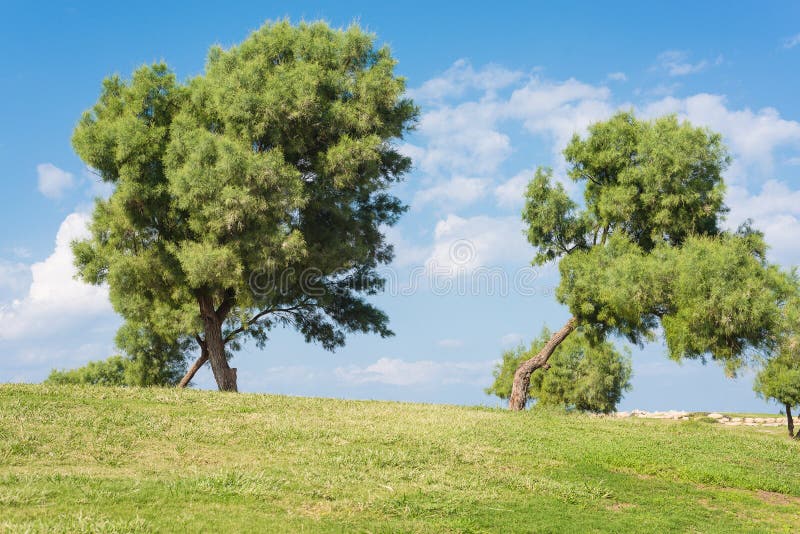 Groen Landschap Met Blauwe Hemelachtergrond Stock Foto - Image of wolk ...