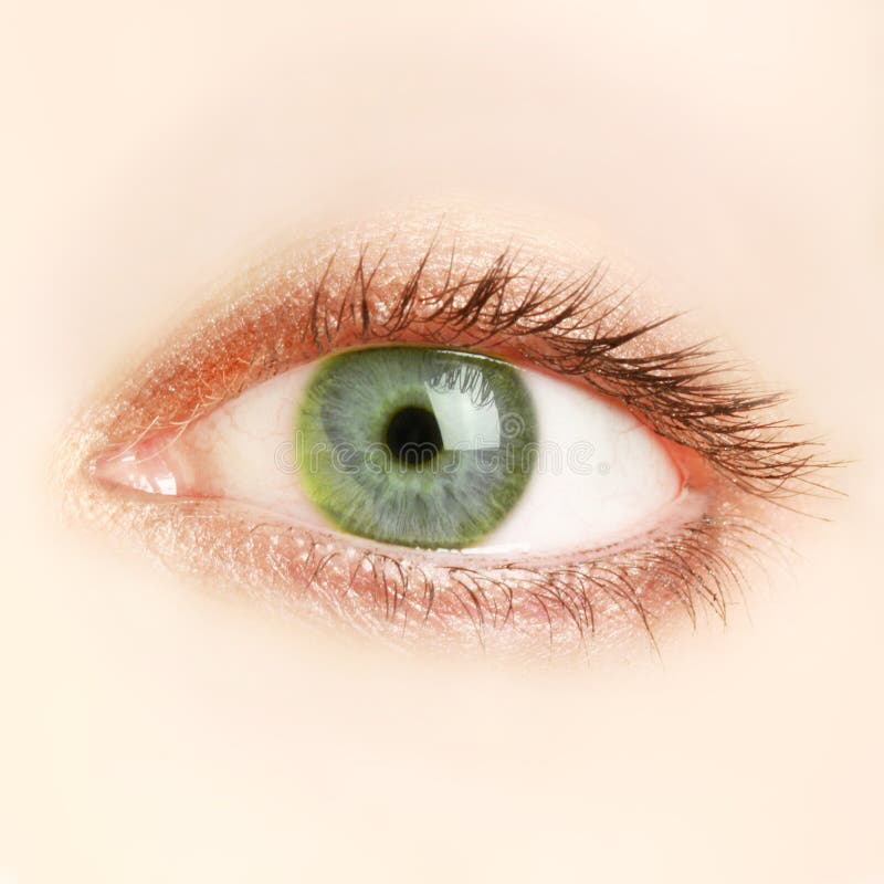 Groen oog stock afbeelding. Afbeelding bestaande uit schoonheid - 111027799