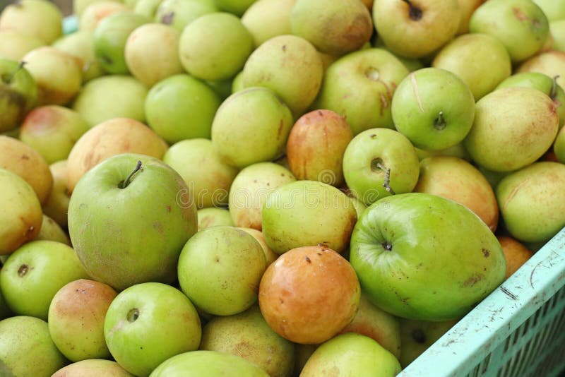 Groene appel stock afbeelding. Image of appel, pruim - 101672717