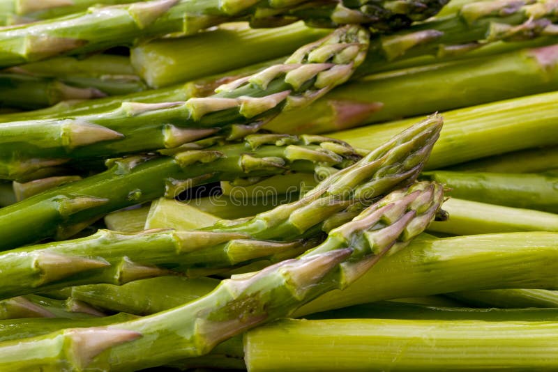 Groene Asperges (Asparagus Officinalis) Stock Foto - Image of ...