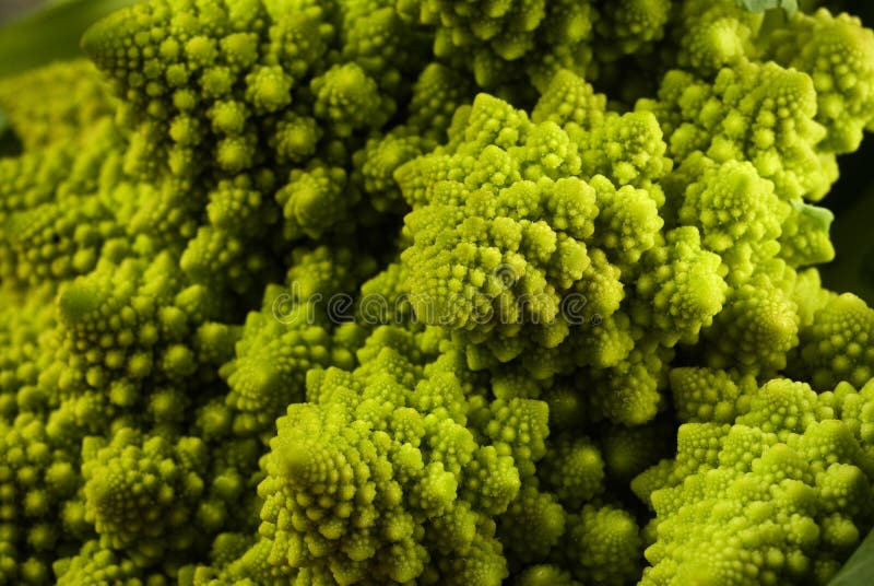 Groene bloemkool stock afbeelding. Image of diner, supermarkt - 3340171