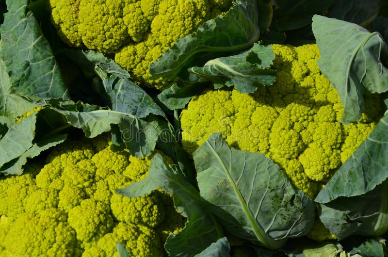 Groene Bloemkoolkool Op Houten Lijst, Close-up Stock Afbeelding - Image ...