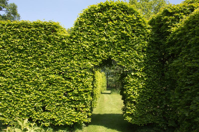 Groene boog in tuin stock afbeelding. Image of mooi, openlucht - 41981465