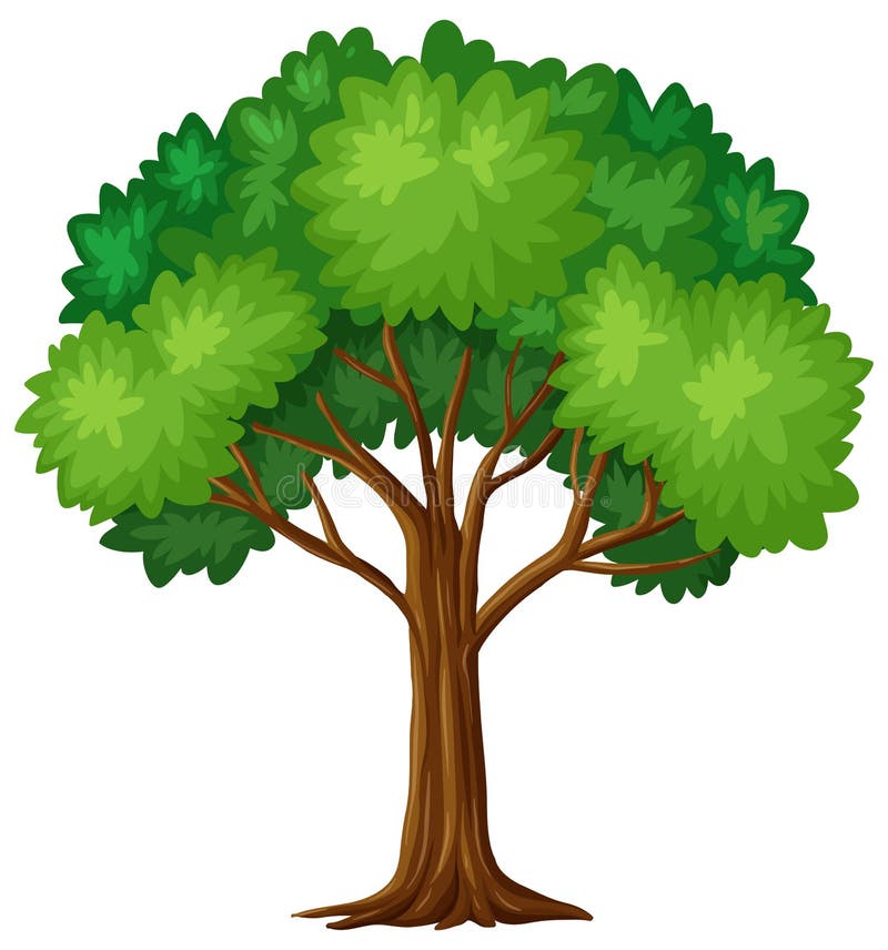 Groene Boom Op Witte Achtergrond Vector Illustratie - Illustration of ...