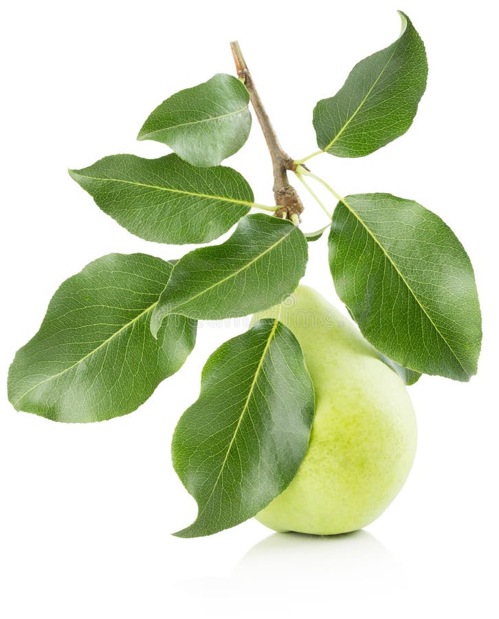 Groene Peer Geïsoleerd Op Witte Achtergrond Stock Foto - Image of ...